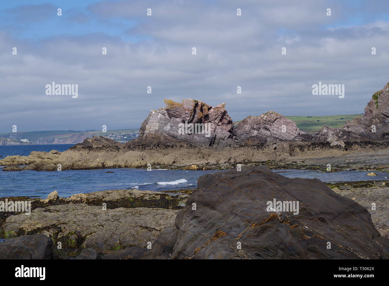 Rugged Coastline of Hope Cove looking towards Woolman Point. Devonian ...