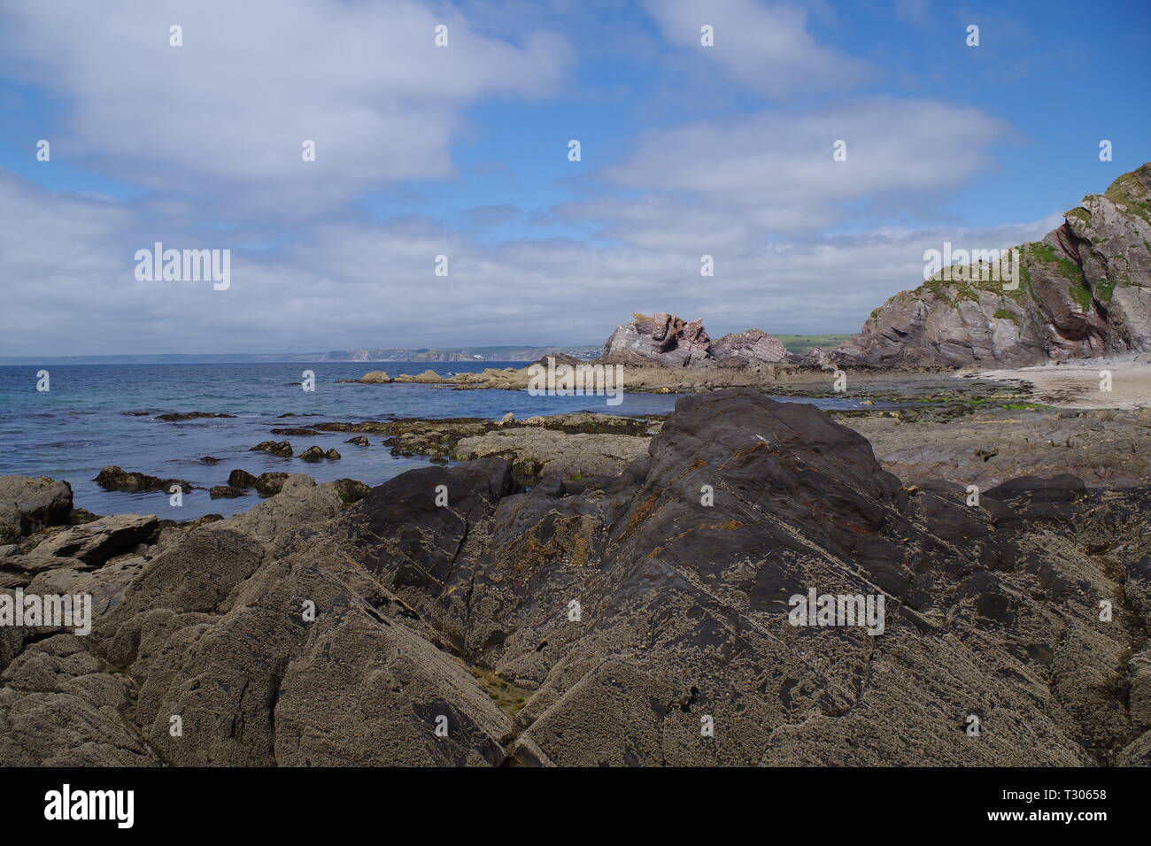 Rugged Coastline of Hope Cove looking towards Woolman Point. Devonian ...
