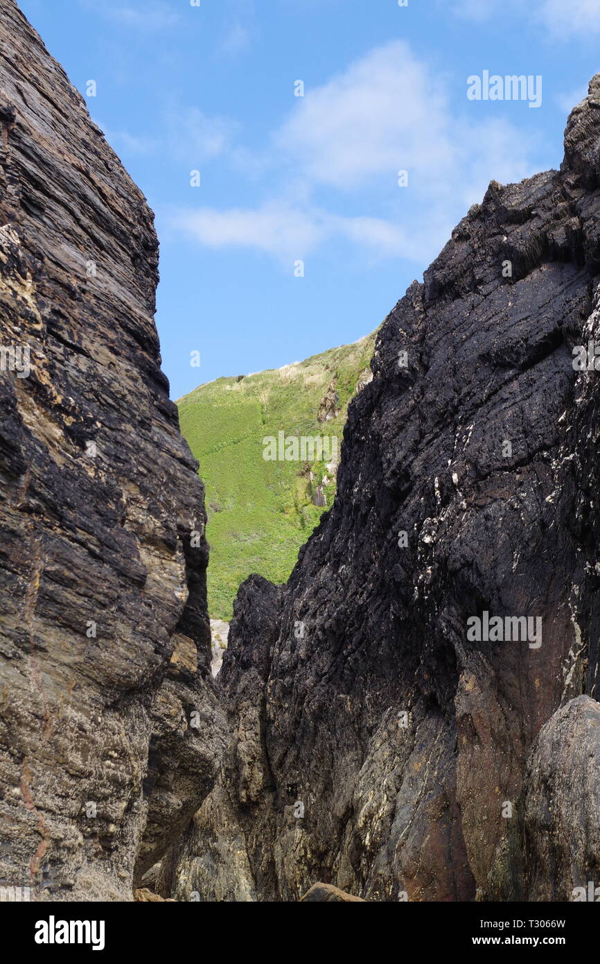Slate Sea Stack at Woolman Point, Hope Cove, South Devon, UK Stock ...