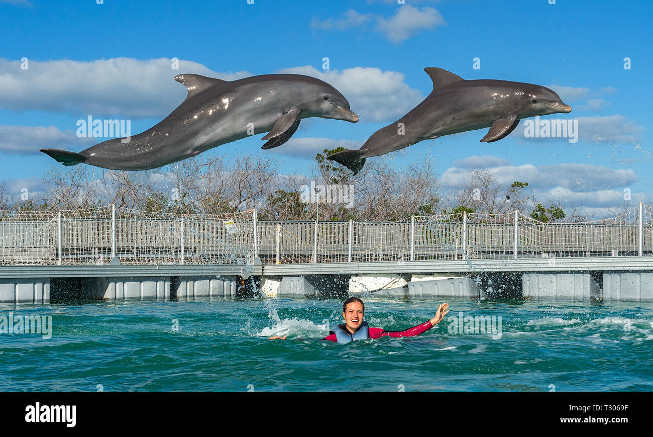 Girls And Dolphins High Resolution Stock Photography and Images - Alamy