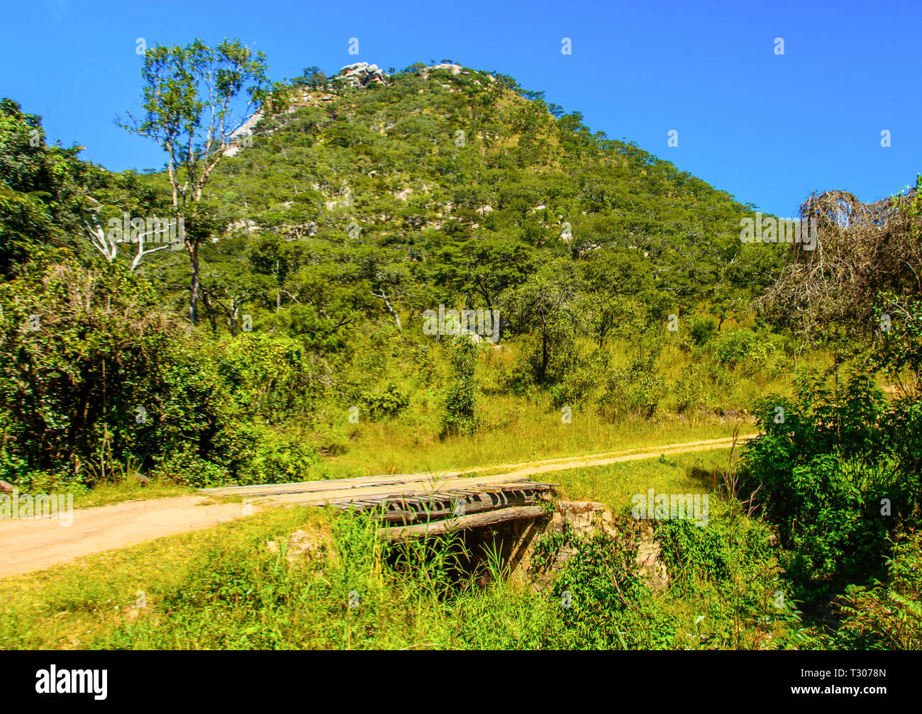 a timber bridge leading to a village in Dedza Malawi Stock Photo - Alamy