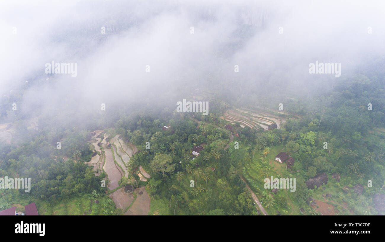 A glimpse of rice fields cultivation and patches of forest from high ...