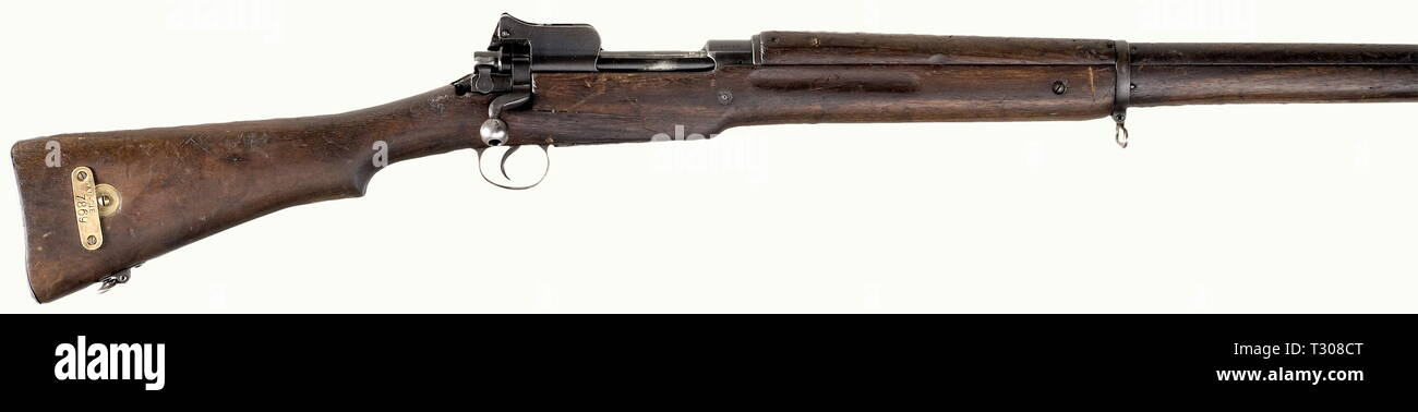 Us Enfield Rifle