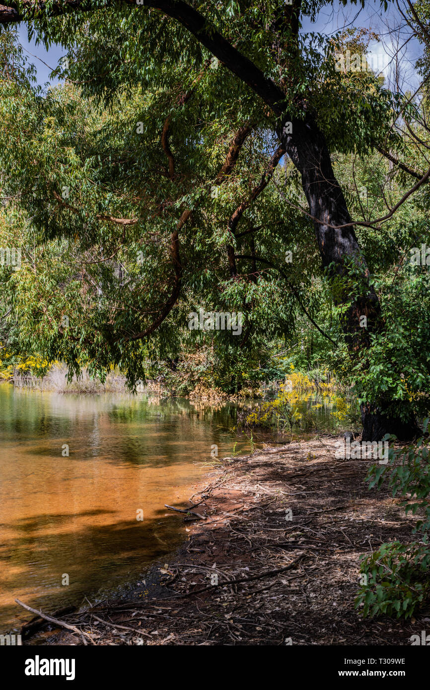 the flooded lake Stock Photo - Alamy
