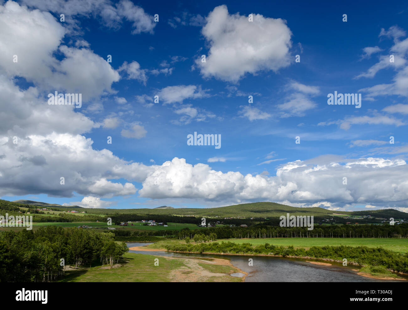 Seter hi-res stock photography and images - Alamy