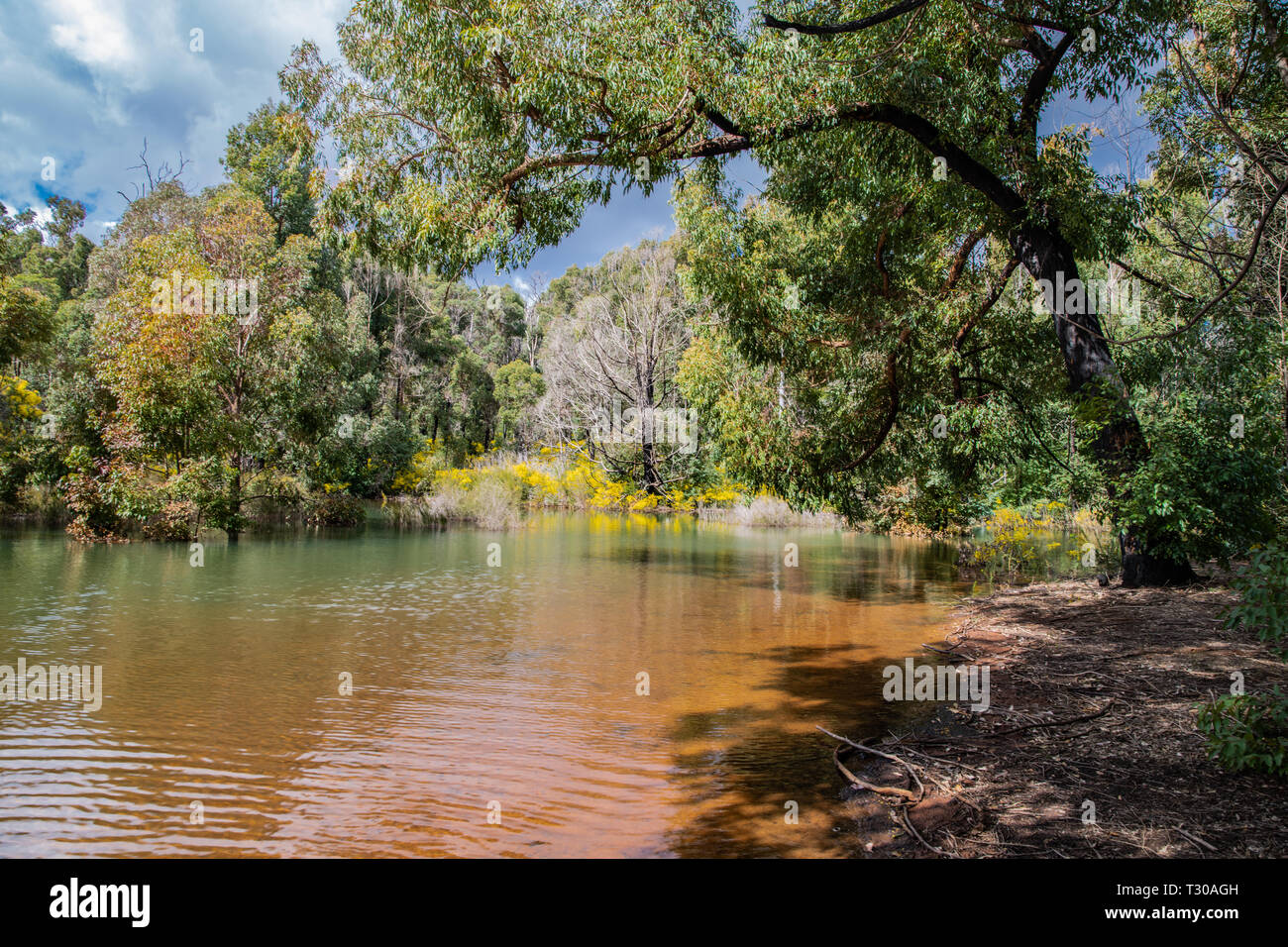 Flooded lake shore on hi-res stock photography and images - Alamy