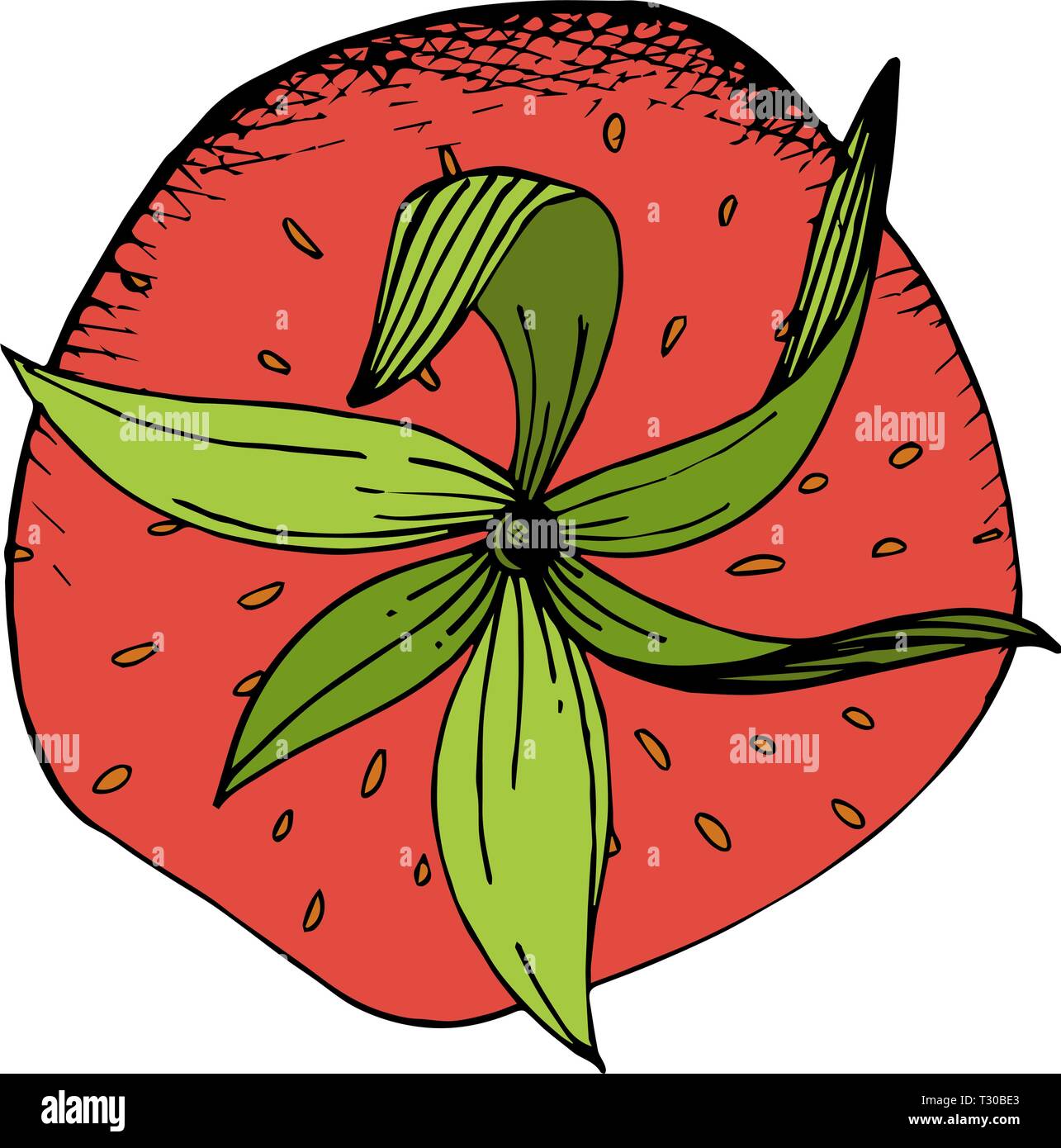 Vector Strawberry healthy food. Red and green engraved ink art. Fresh ...