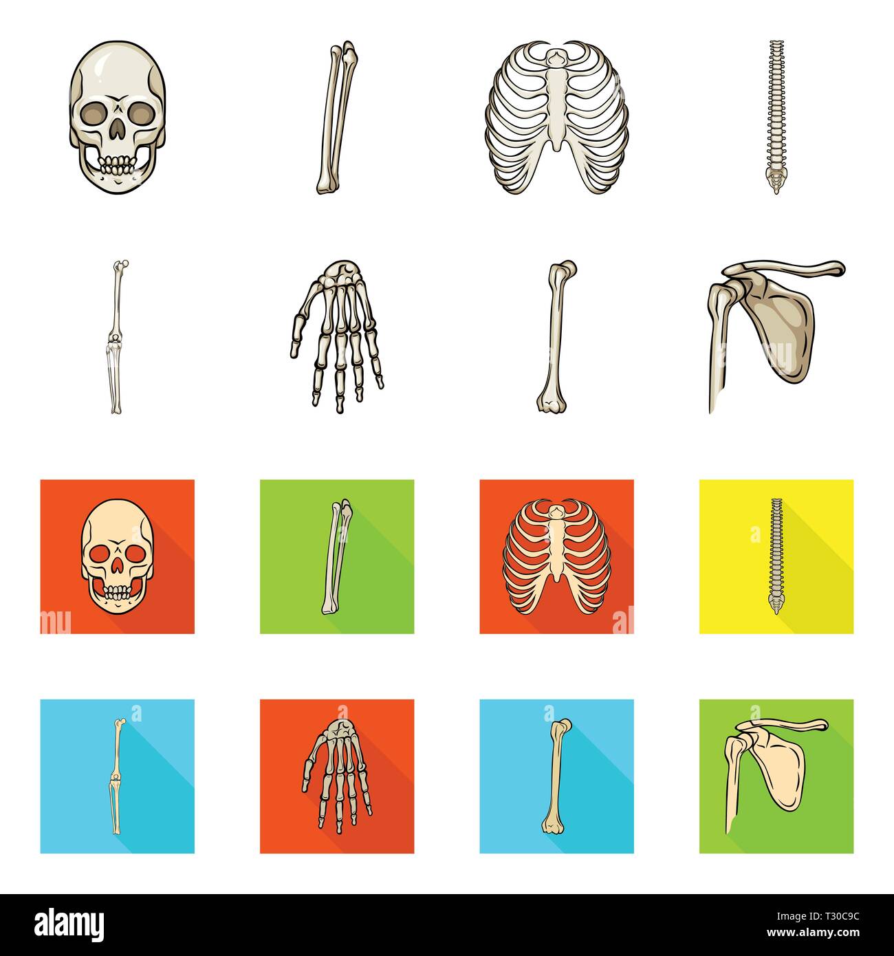 skull,femur,rib,spine,knee,wrist,death,cage,chiropractic,joint,hand ...
