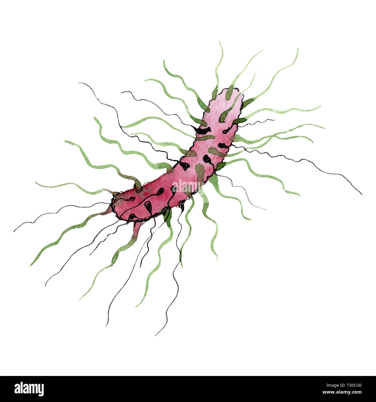 Microbe or germ hand drawn illustration. Watercolor background ...