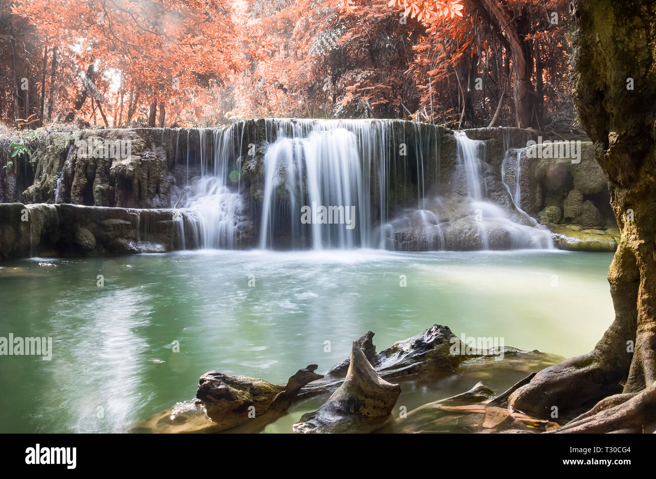 Beautiful deep forest waterfall flow hi-res stock photography and ...