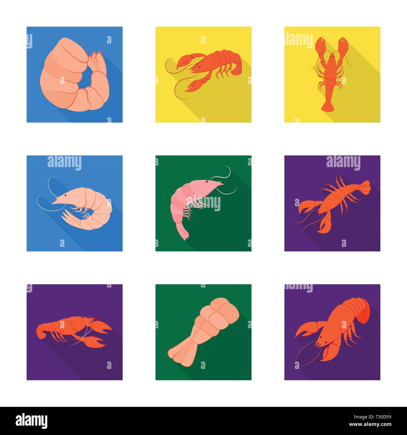 prawn,lobster,crayfish,raw,red,underwater,aquatic,creature,happy,fresh ...