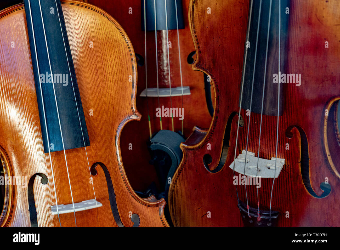 Violin detail close up musical instrument Stock Photo - Alamy