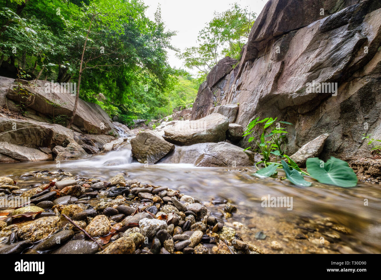You yang national park hi-res stock photography and images - Alamy