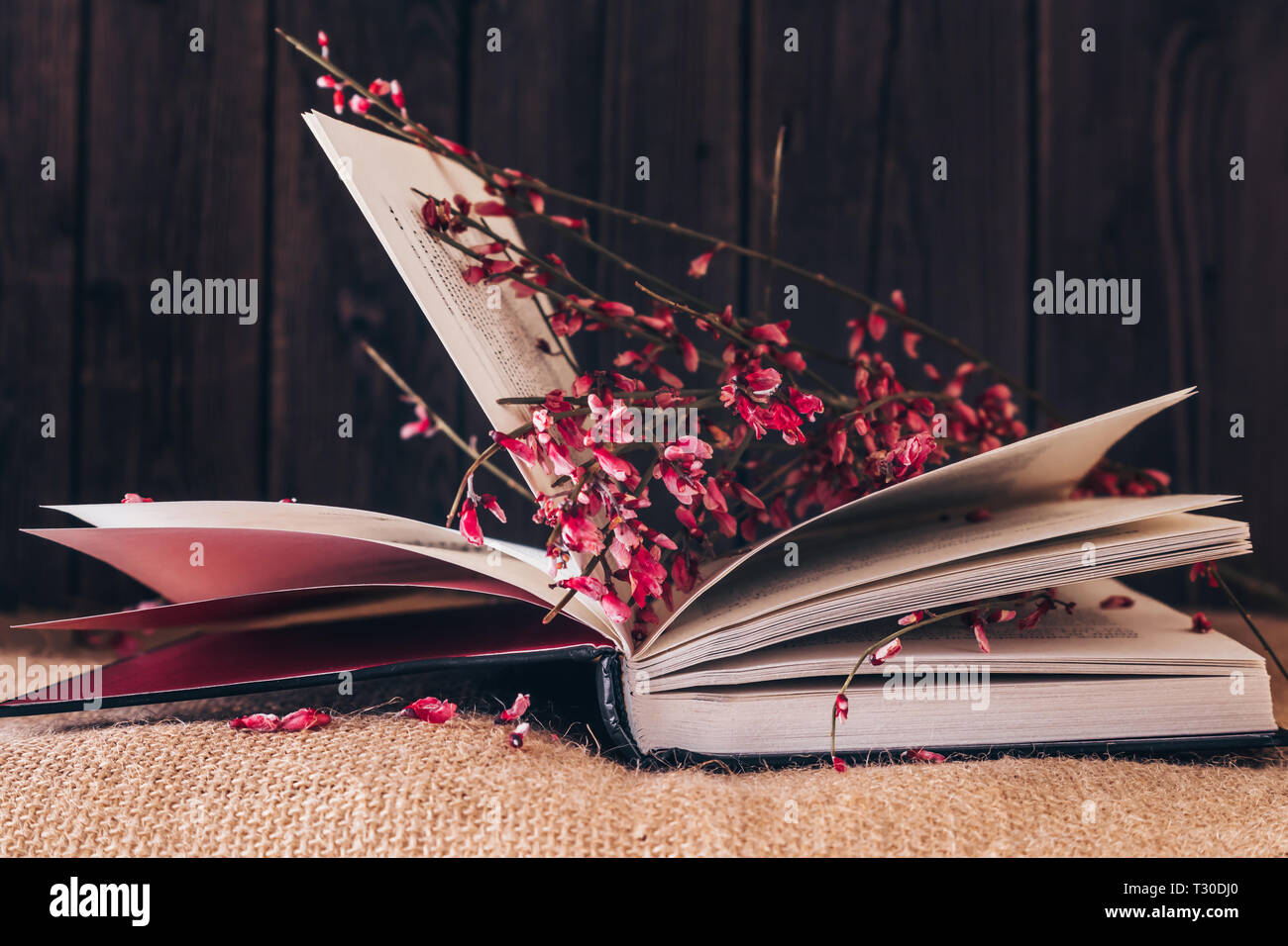 Open book pink flowers green hi-res stock photography and images - Alamy