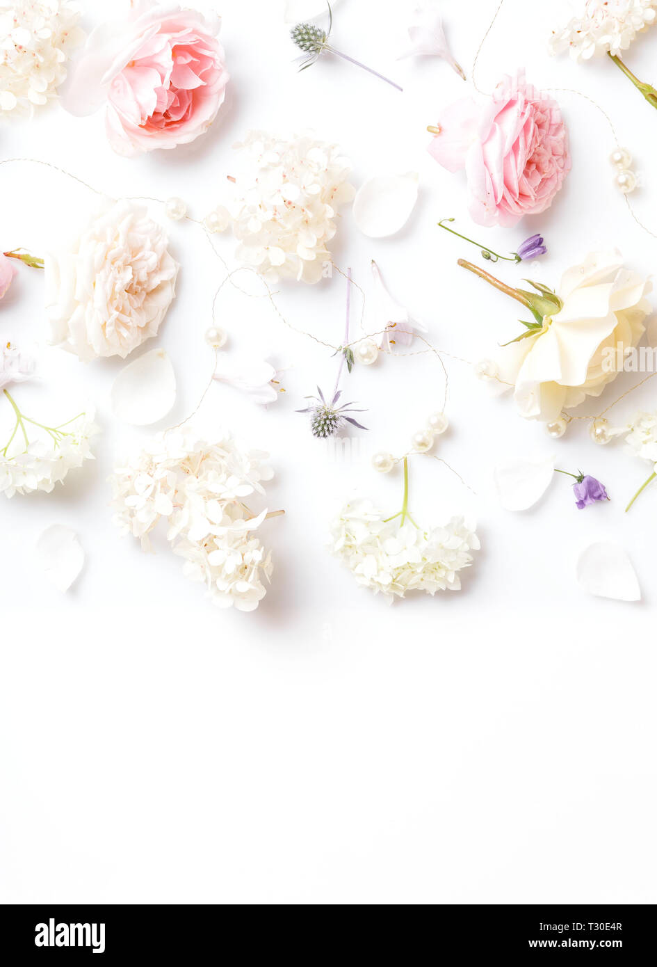 Festive flower composition on the white background. Overhead view Stock ...