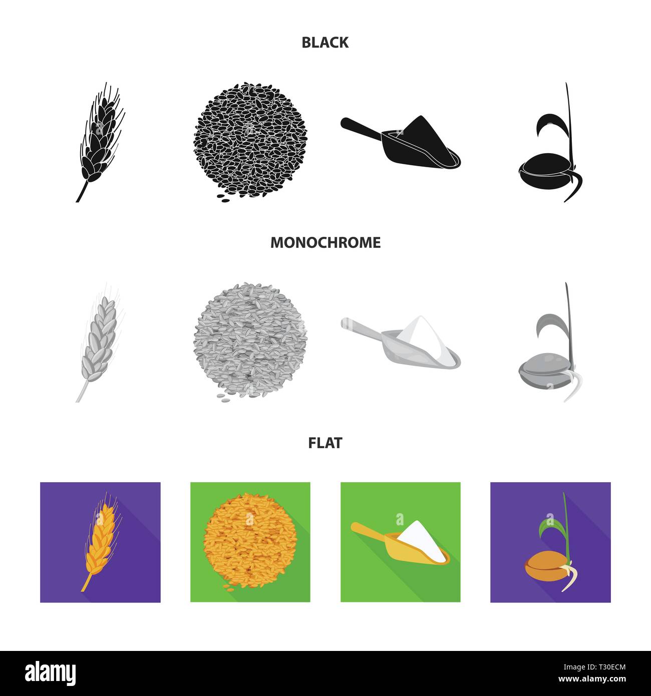 spring,flour,seed,spike,seeds,meal,grow,durum,crop,scoop,root,bread ...