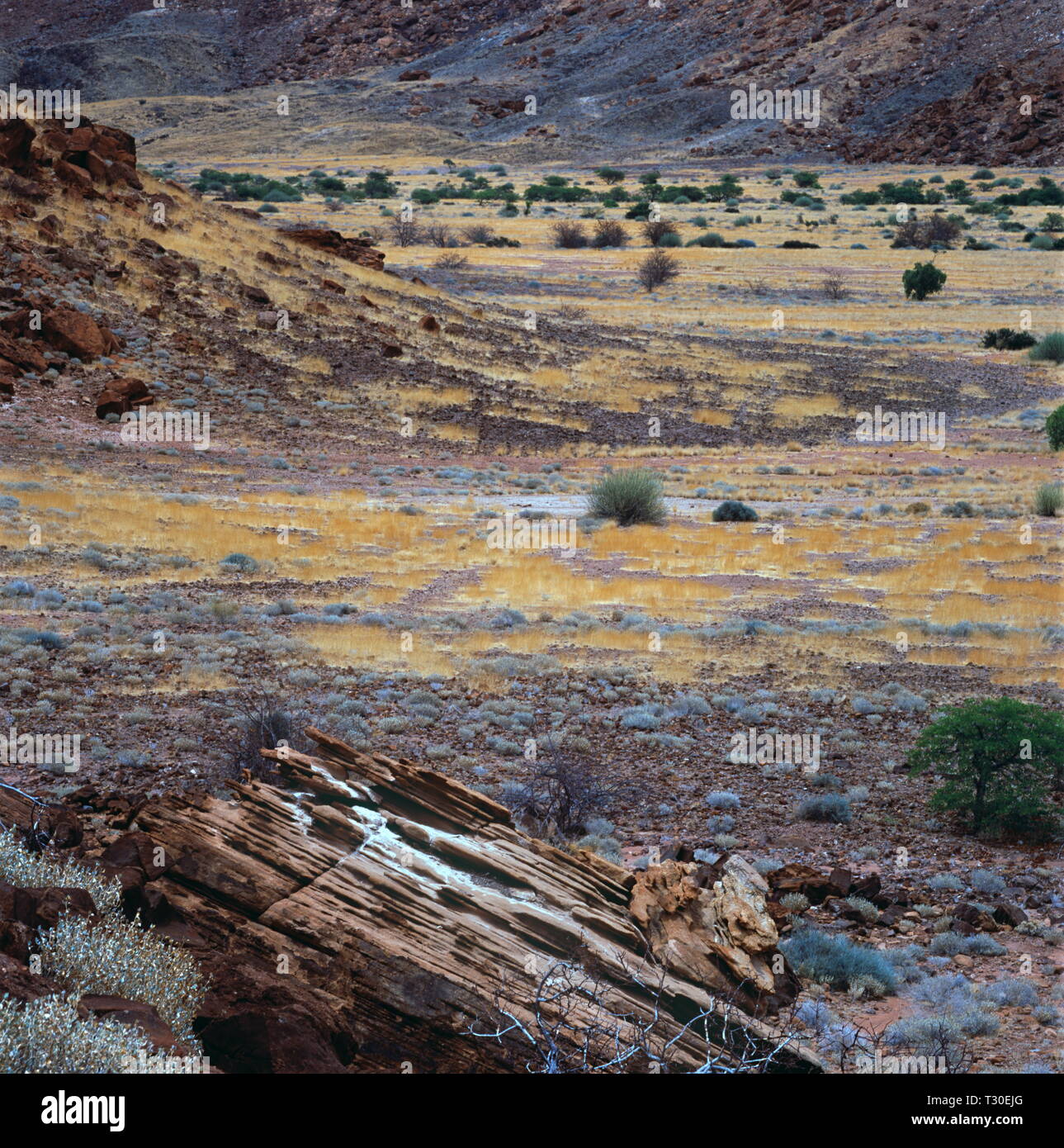 a beautiful view in namibia Stock Photo - Alamy