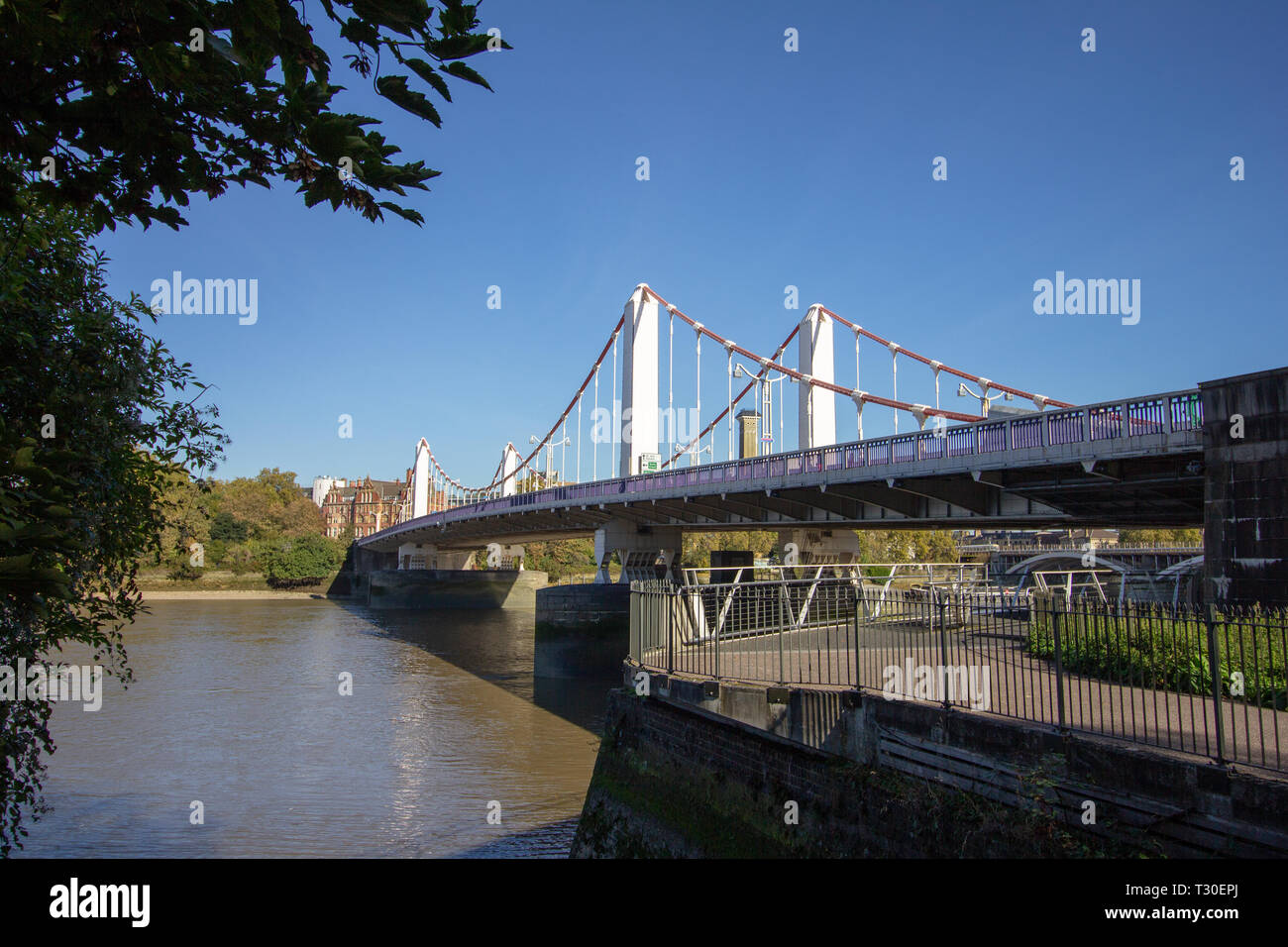 Chelsea bridge from the Battersea Park shore of the Thames River in ...