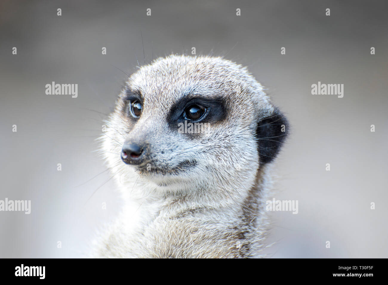 Scared straight hi-res stock photography and images - Alamy
