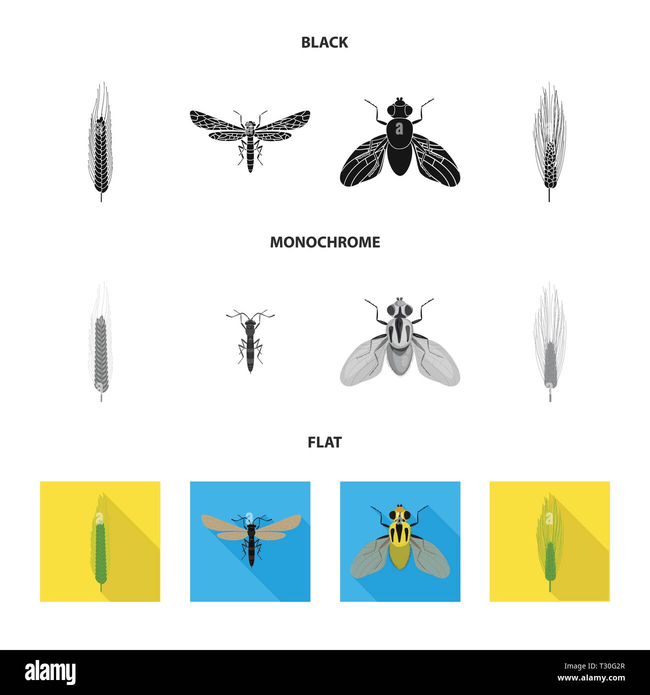 Corn pest Stock Vector Images - Alamy