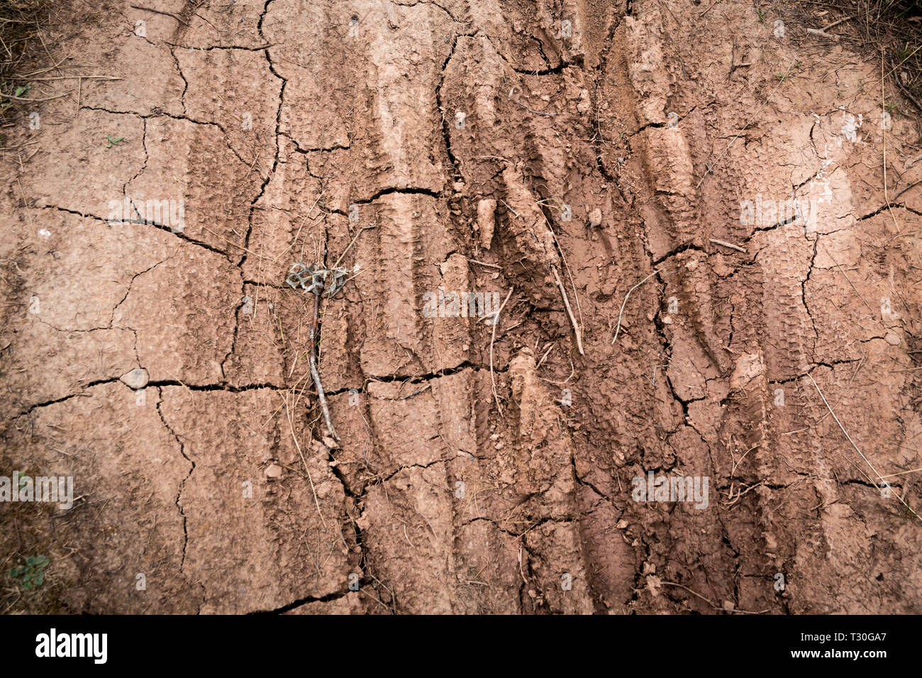 Wheel trails on mud soil. Sand wheels print in dust of dirt track of ...