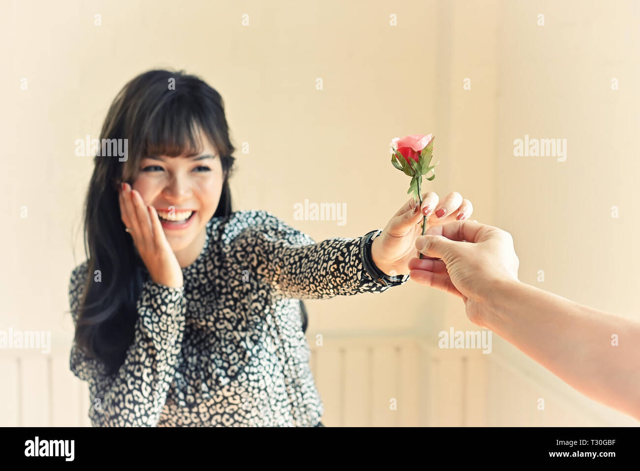 Woman giving a rose flower with selective focus Stock Photo - Alamy