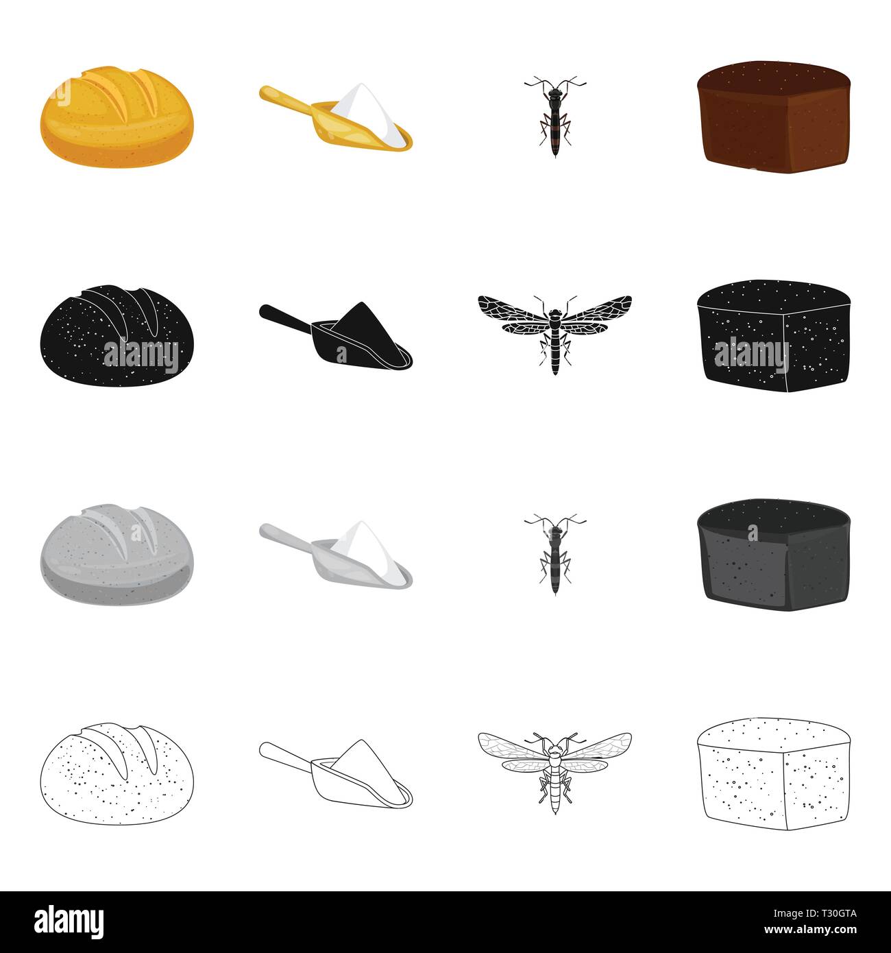 bread,flour,fly,meal,insect,scoop,pest,brown,food,control,breakfast,oat ...