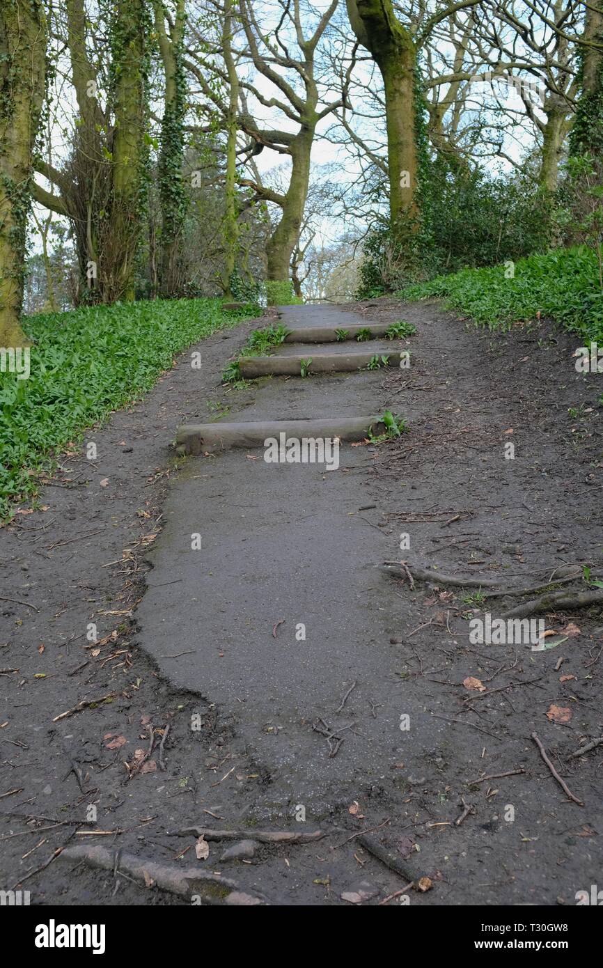Rough path hi-res stock photography and images - Alamy