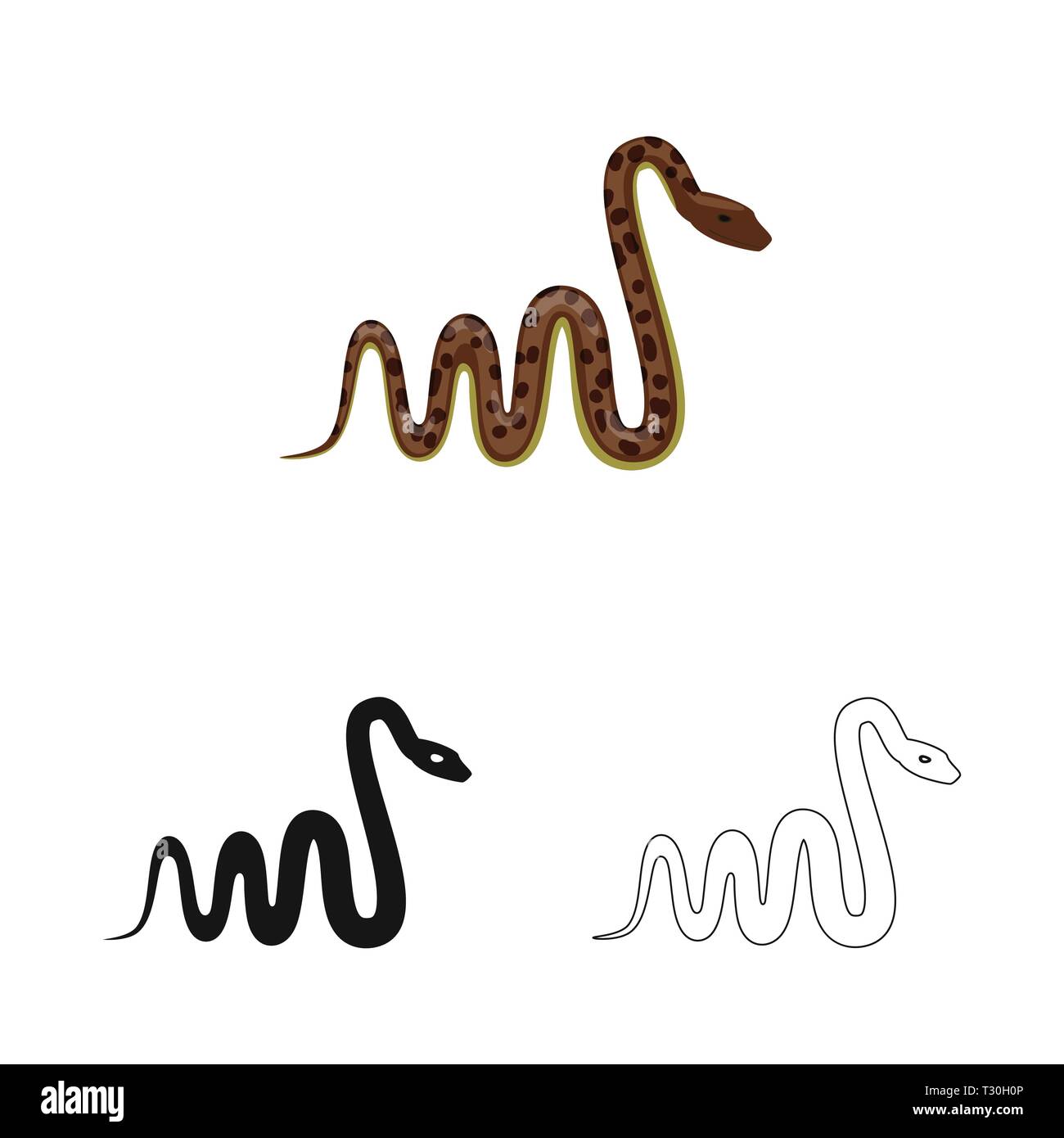 snake,python,jungle,large,tropical,crawling,forest,jump,tail,spiral ...