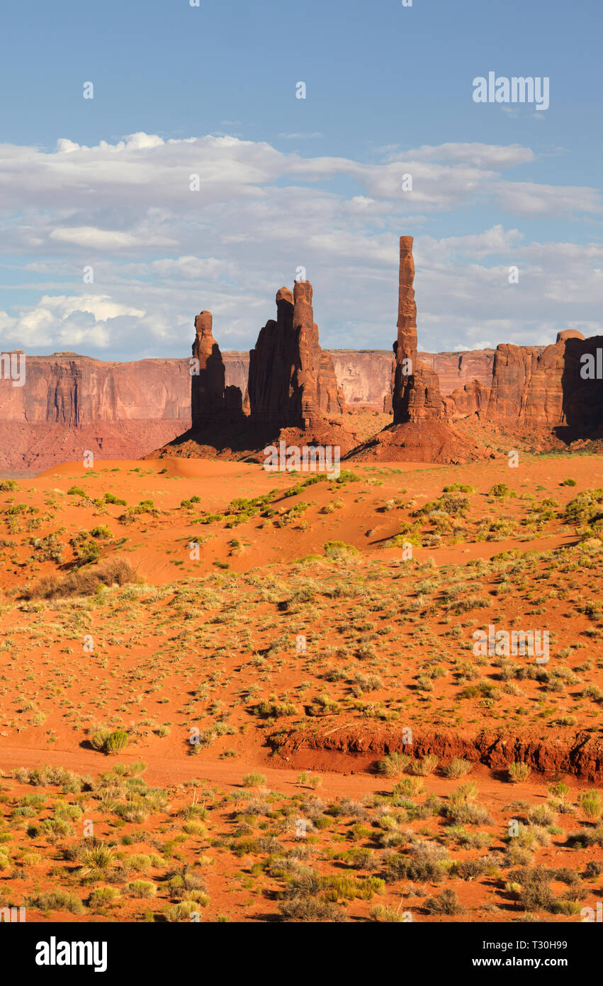 Totem poles formation hi-res stock photography and images - Alamy