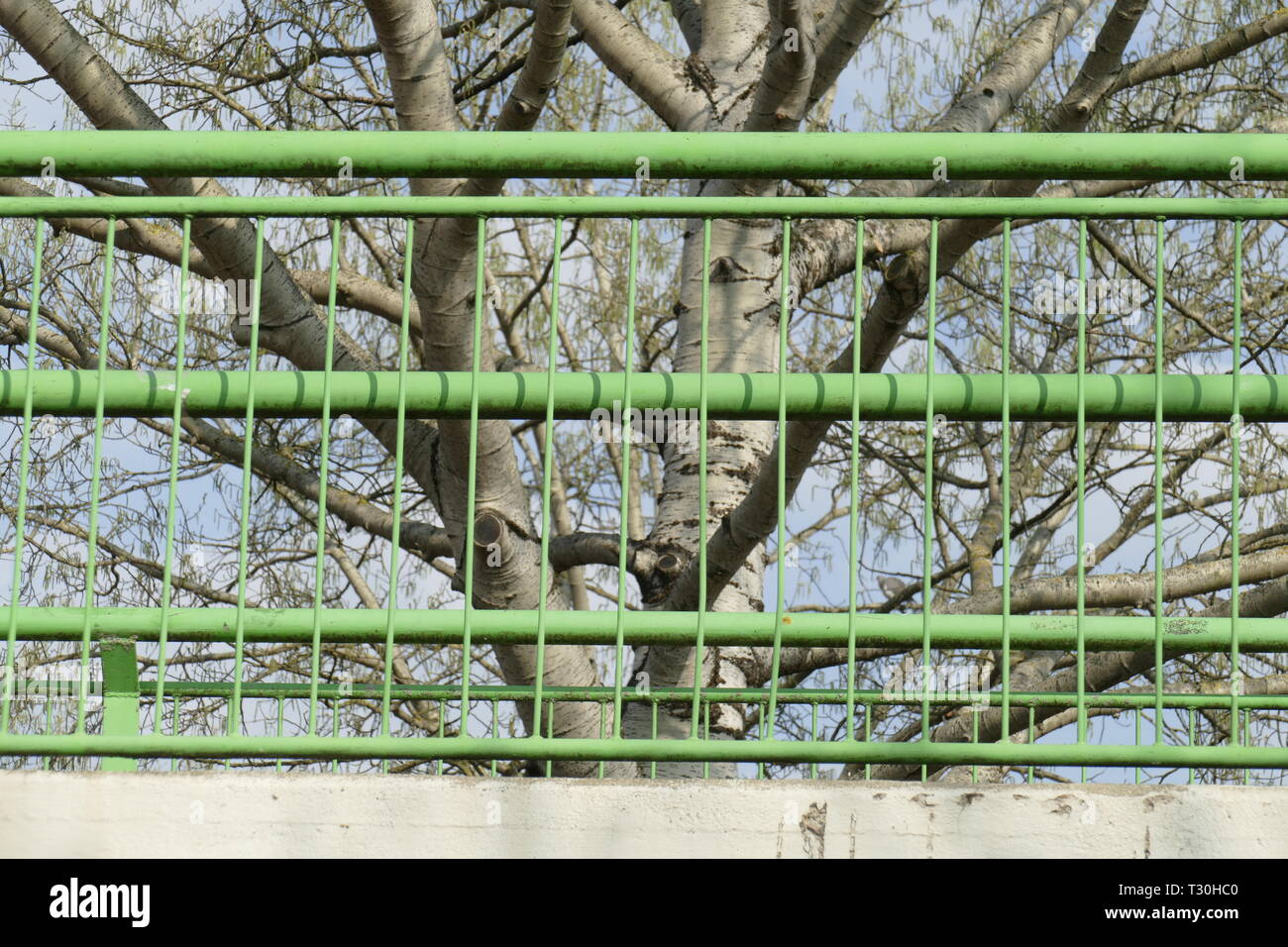 Green railing made of steel Stock Photo - Alamy
