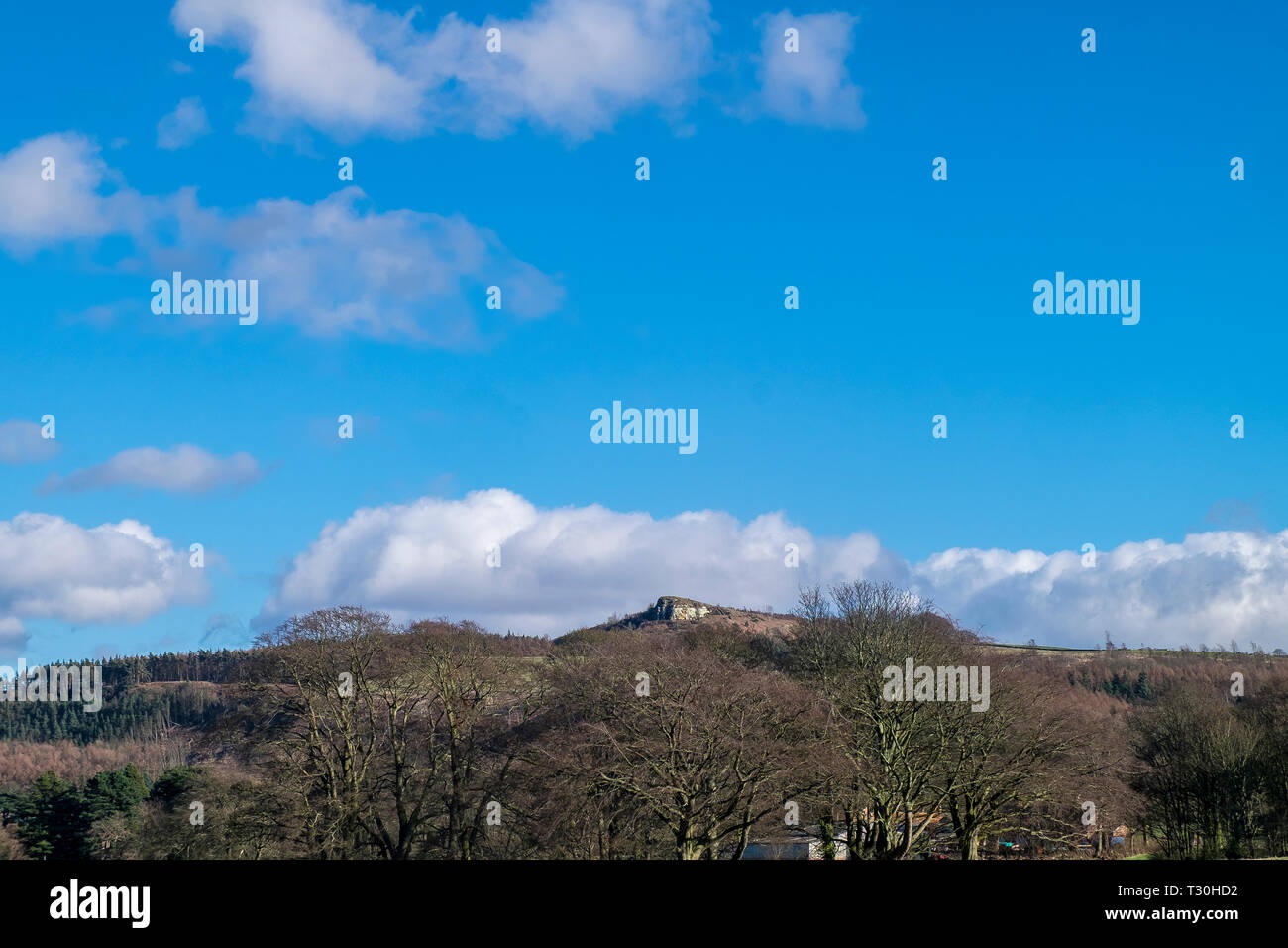 high cliff nab, guisbrough, north yorkshire, uk Stock Photo - Alamy
