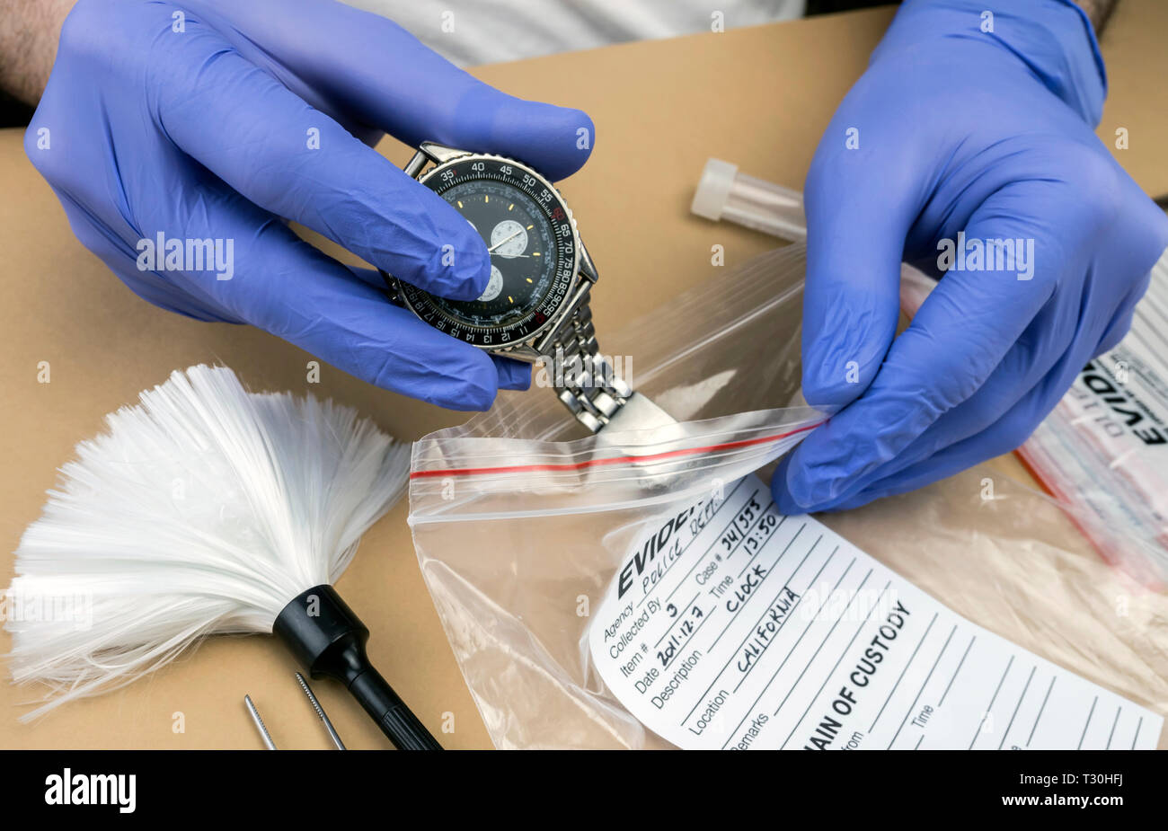 Police scientist working in Criminalistic Lab, victim clock analysis ...