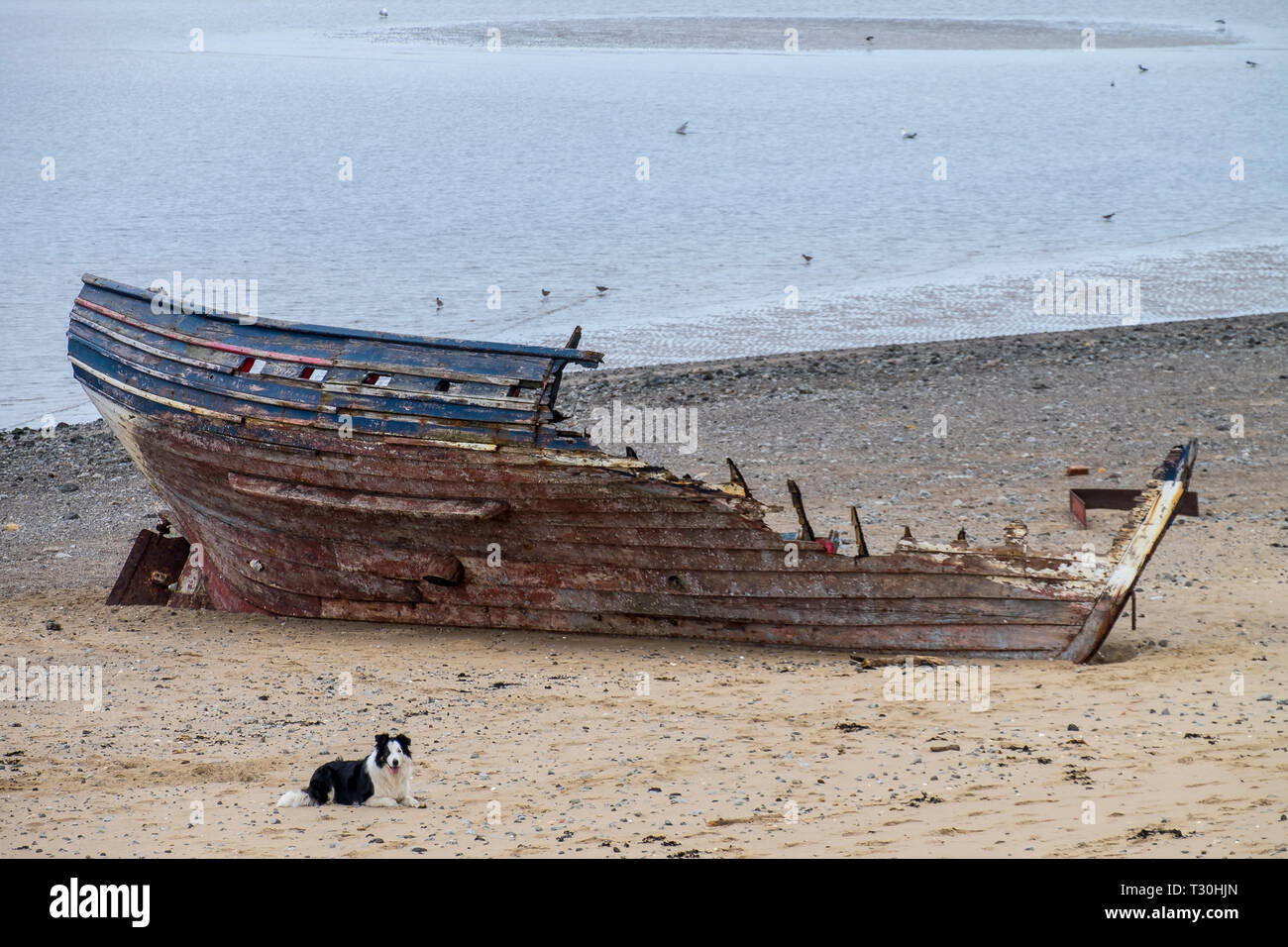 Broken sail boat hi-res stock photography and images - Alamy