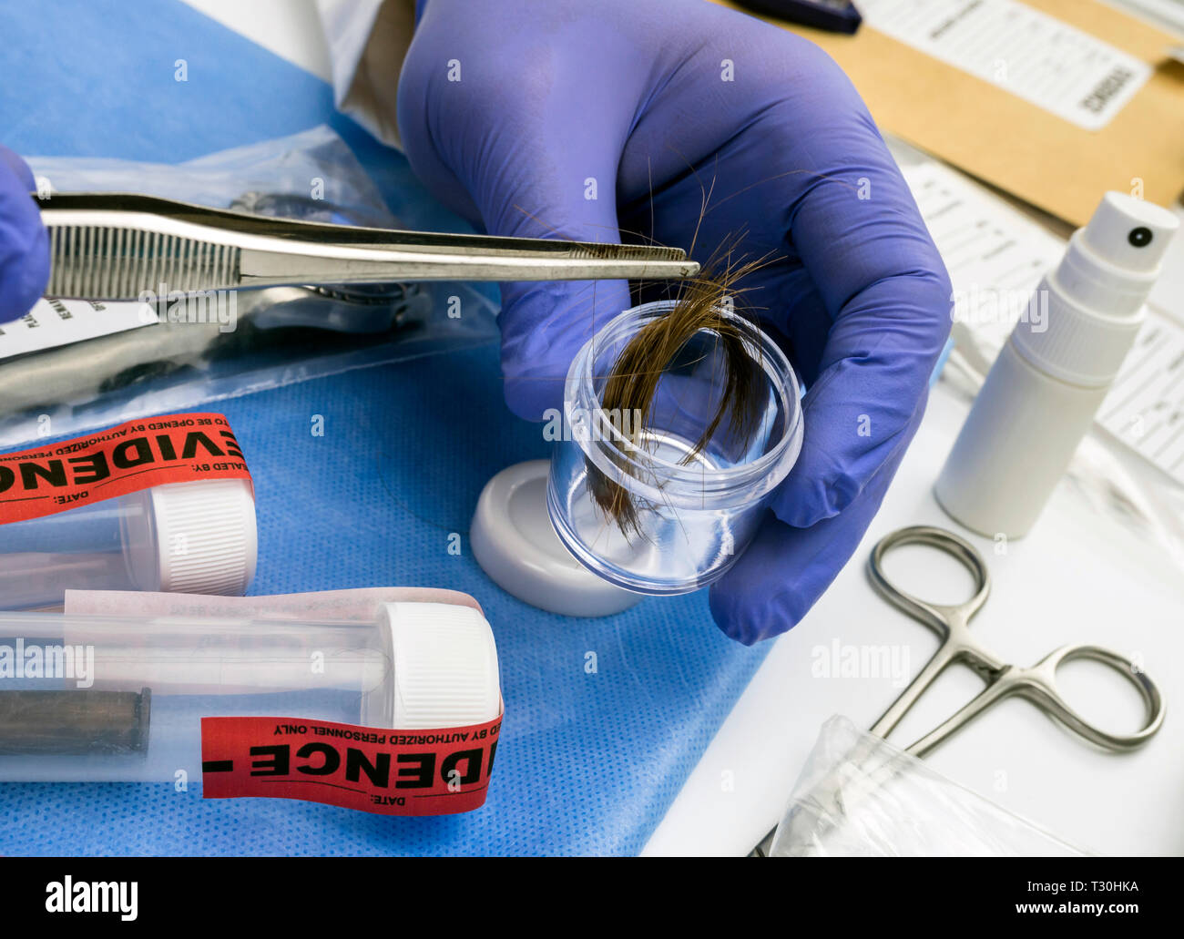 Forensic identification laboratory hi-res stock photography and images ...
