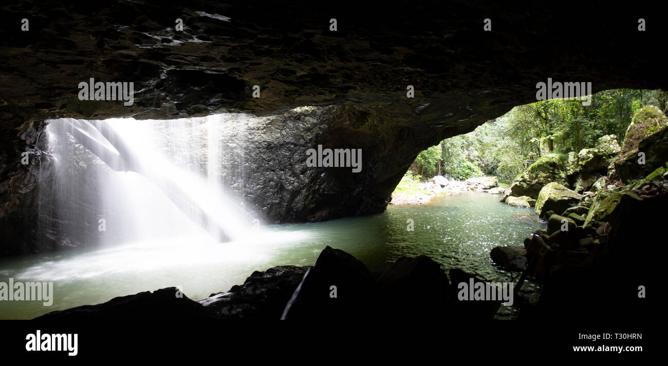 Glow worms in natural bridge hi-res stock photography and images - Alamy