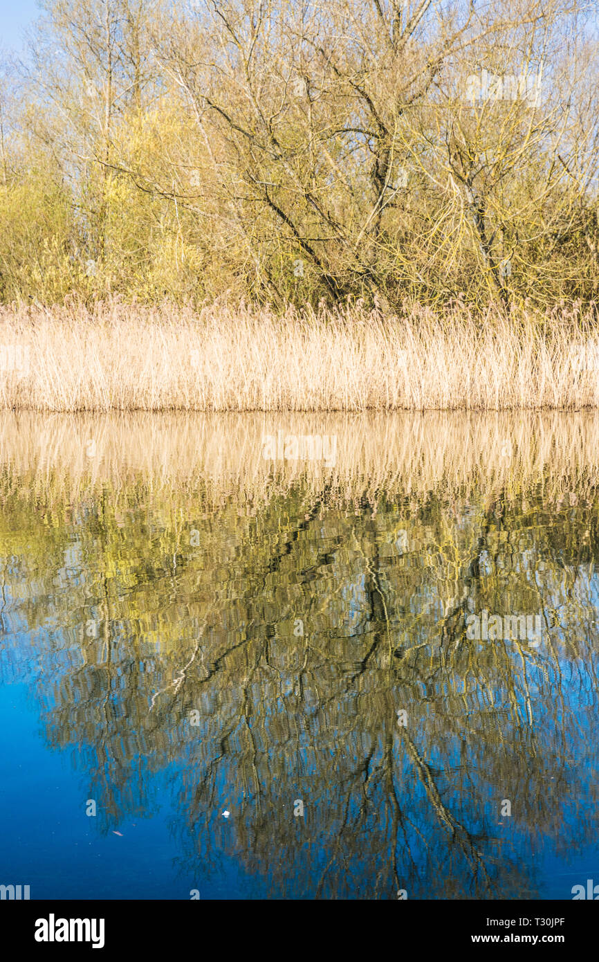 Reflection on still calm water hi-res stock photography and images - Alamy
