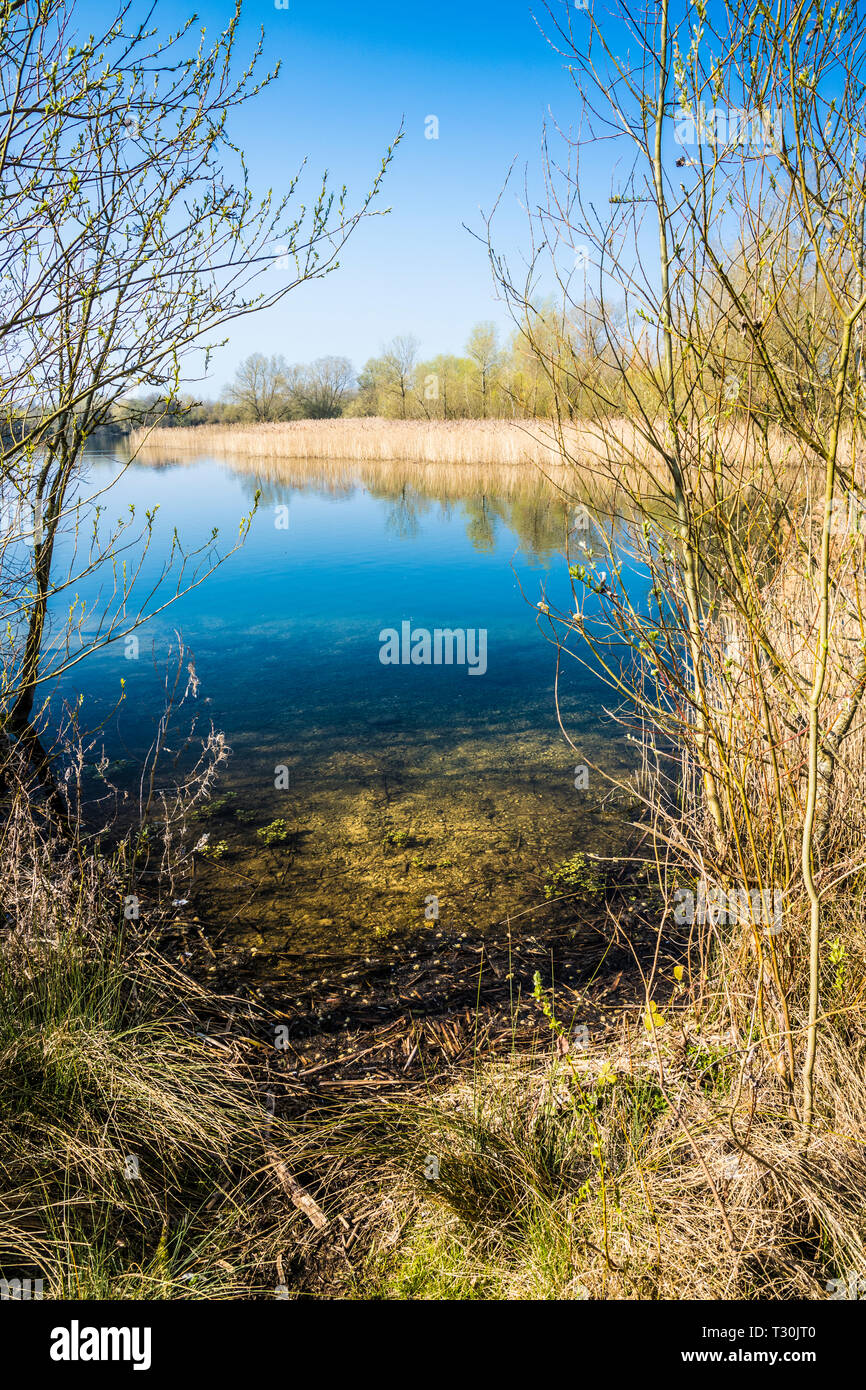 Cotswolds water park wildlife hi-res stock photography and images - Alamy