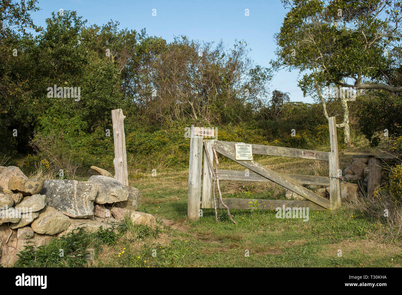 Conservation area and park with trails thru woods, open fields etc. A ...