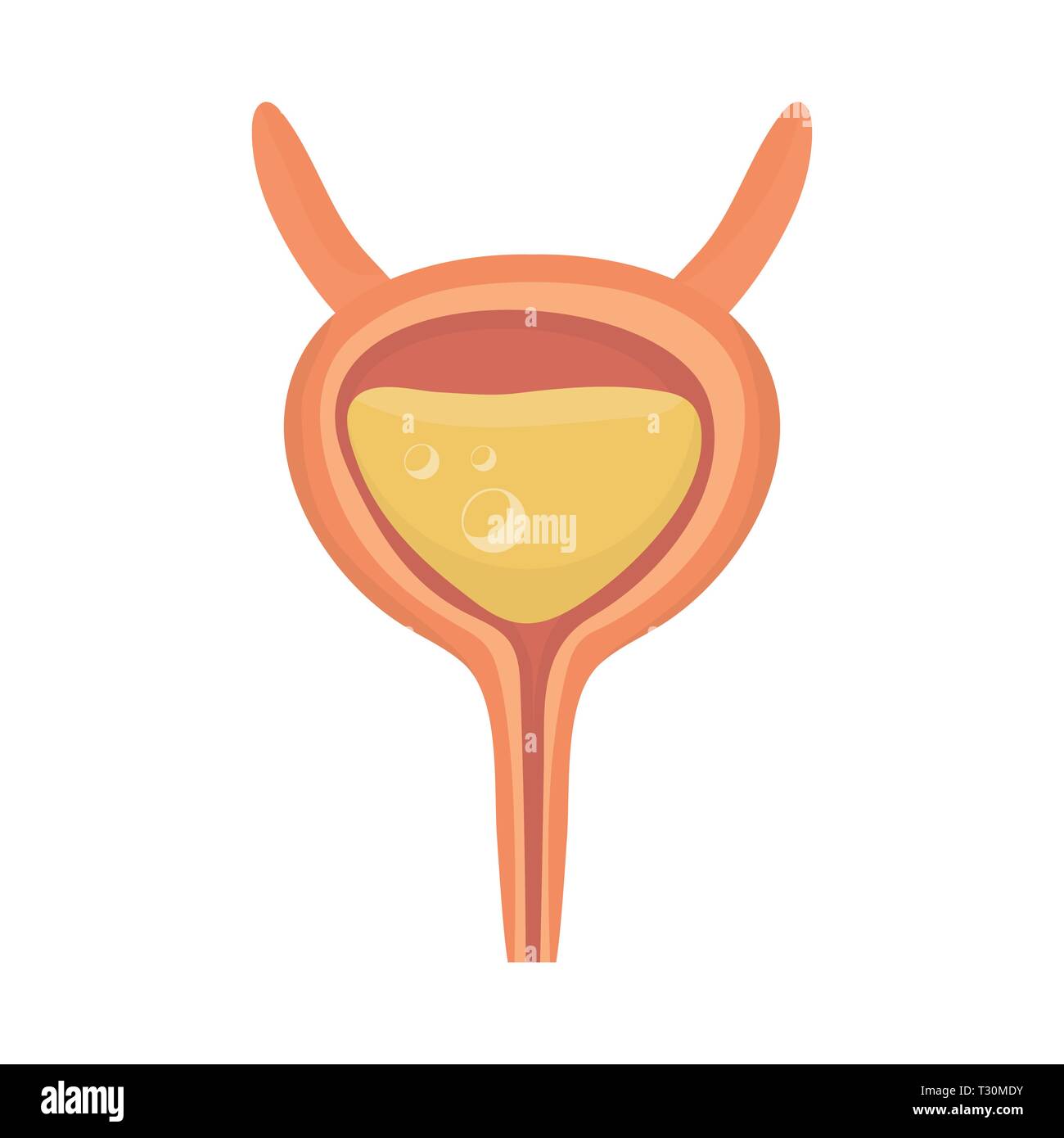 Vector design of incontinence and bladder sign. Collection of ...