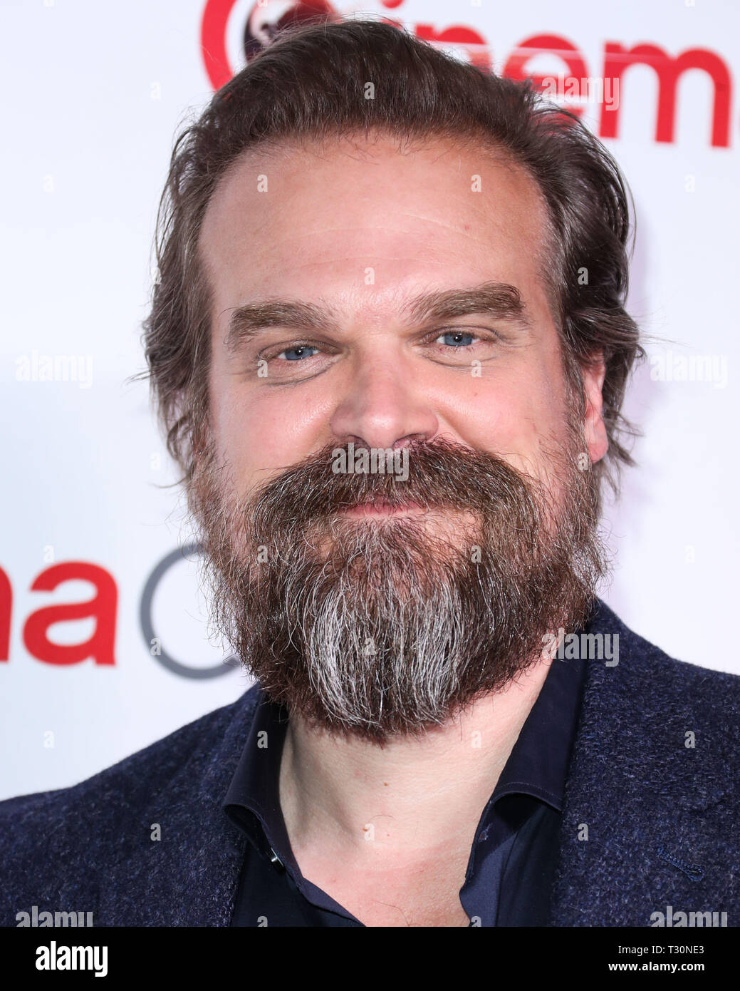 Las Vegas, Nevada, USA . 04th Apr, 2019. Actor David Harbour arrives at ...