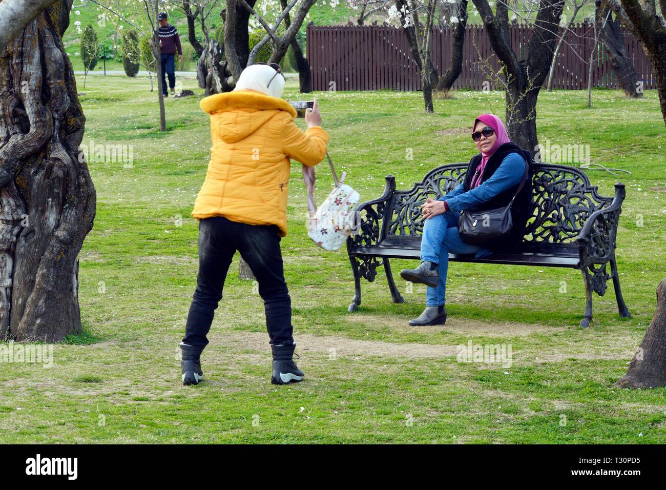 Badam trees hi-res stock photography and images - Alamy