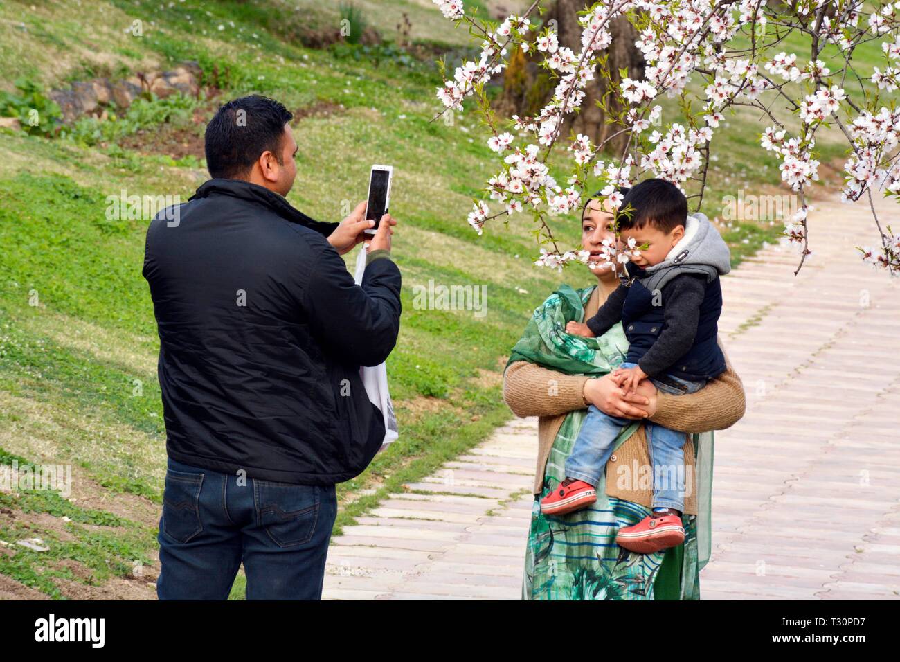 Badam trees hi-res stock photography and images - Alamy