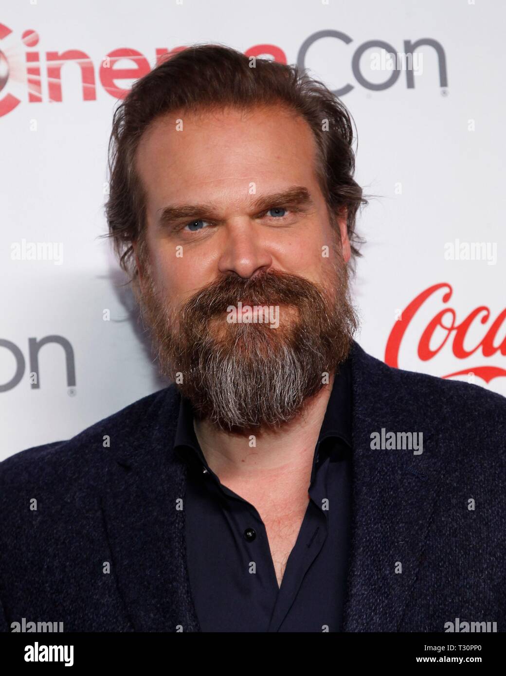 David Harbour at arrivals for CinemaCon Big Screen Achievement Awards ...