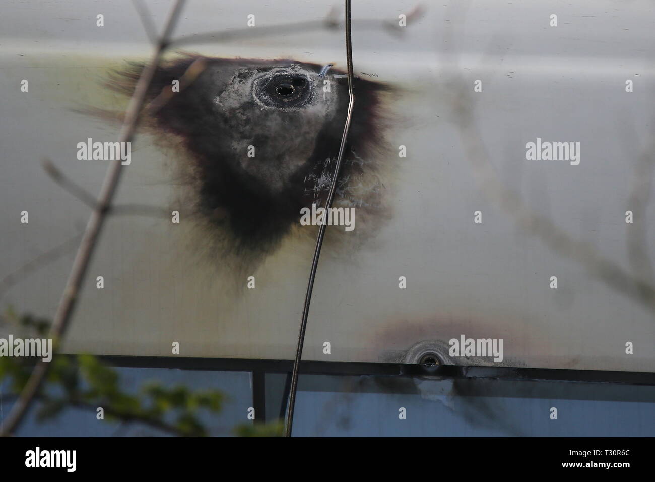 Holes in skin hi-res stock photography and images - Alamy