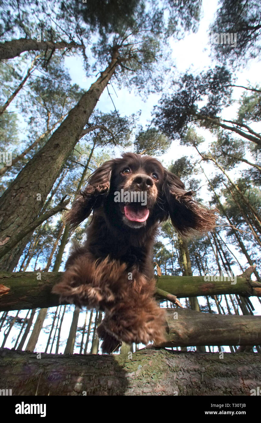 Home of winnie the pooh High Resolution Stock Photography and Images ...