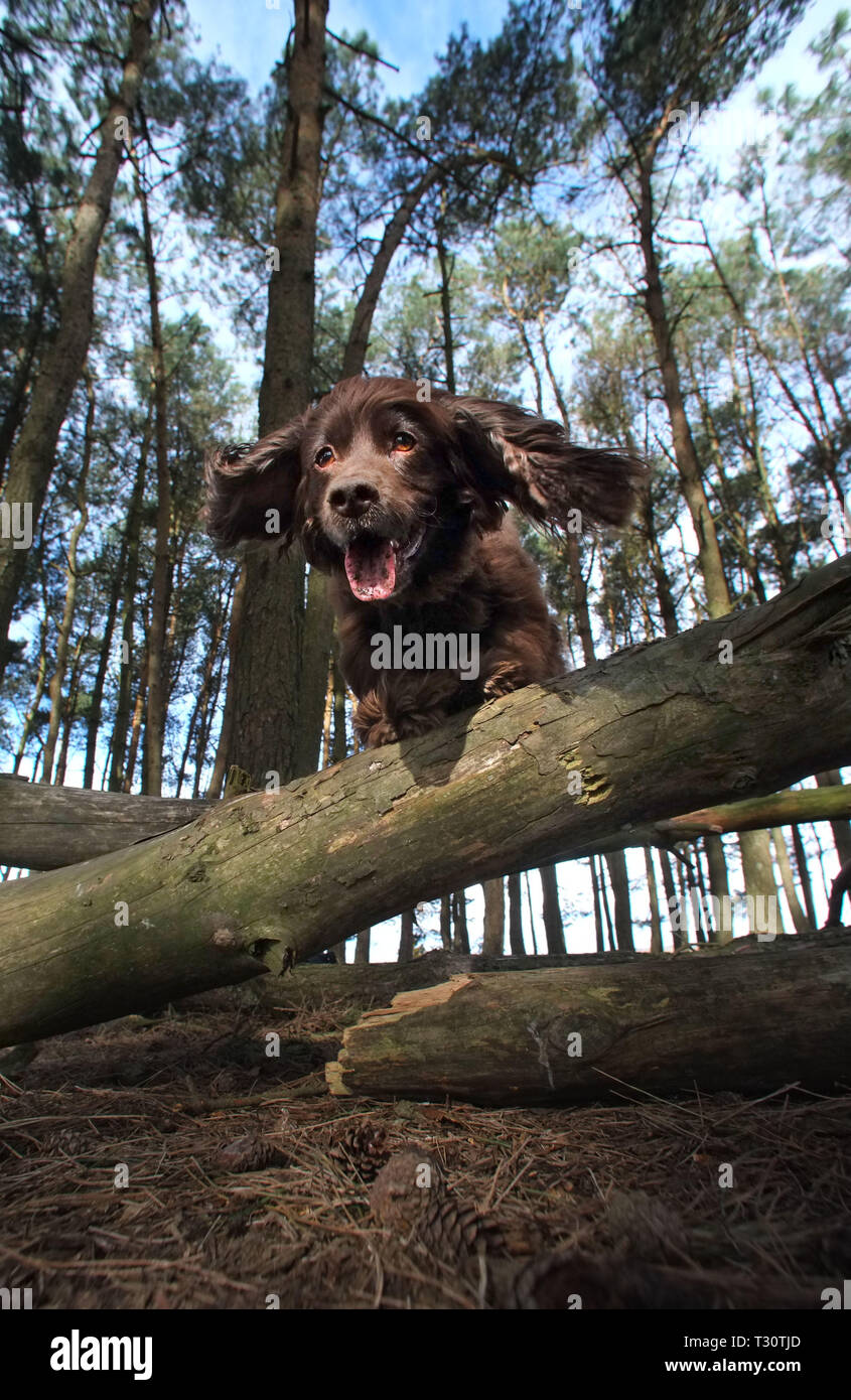Home of winnie the pooh hi-res stock photography and images - Alamy