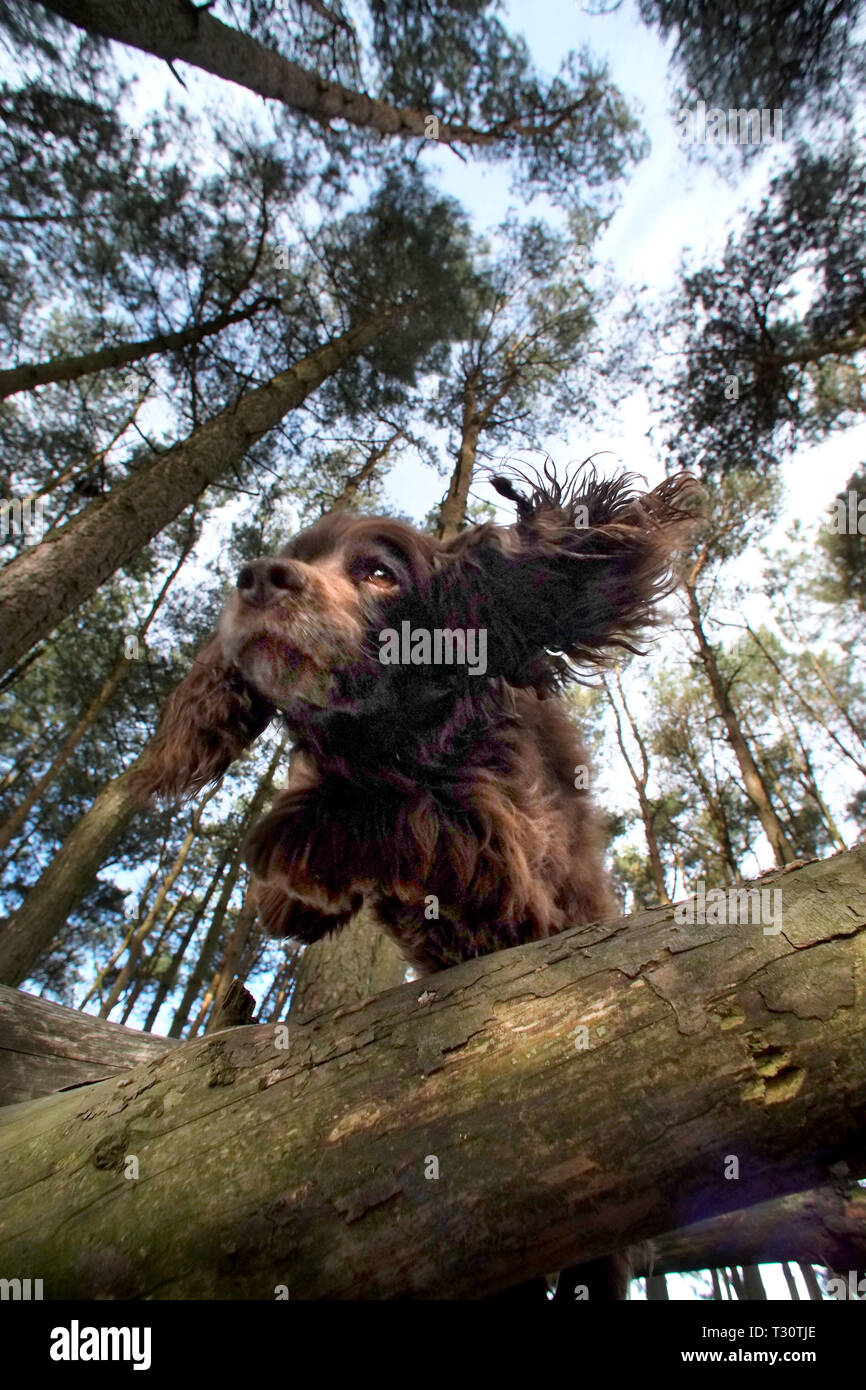 Home of winnie the pooh hi-res stock photography and images - Alamy