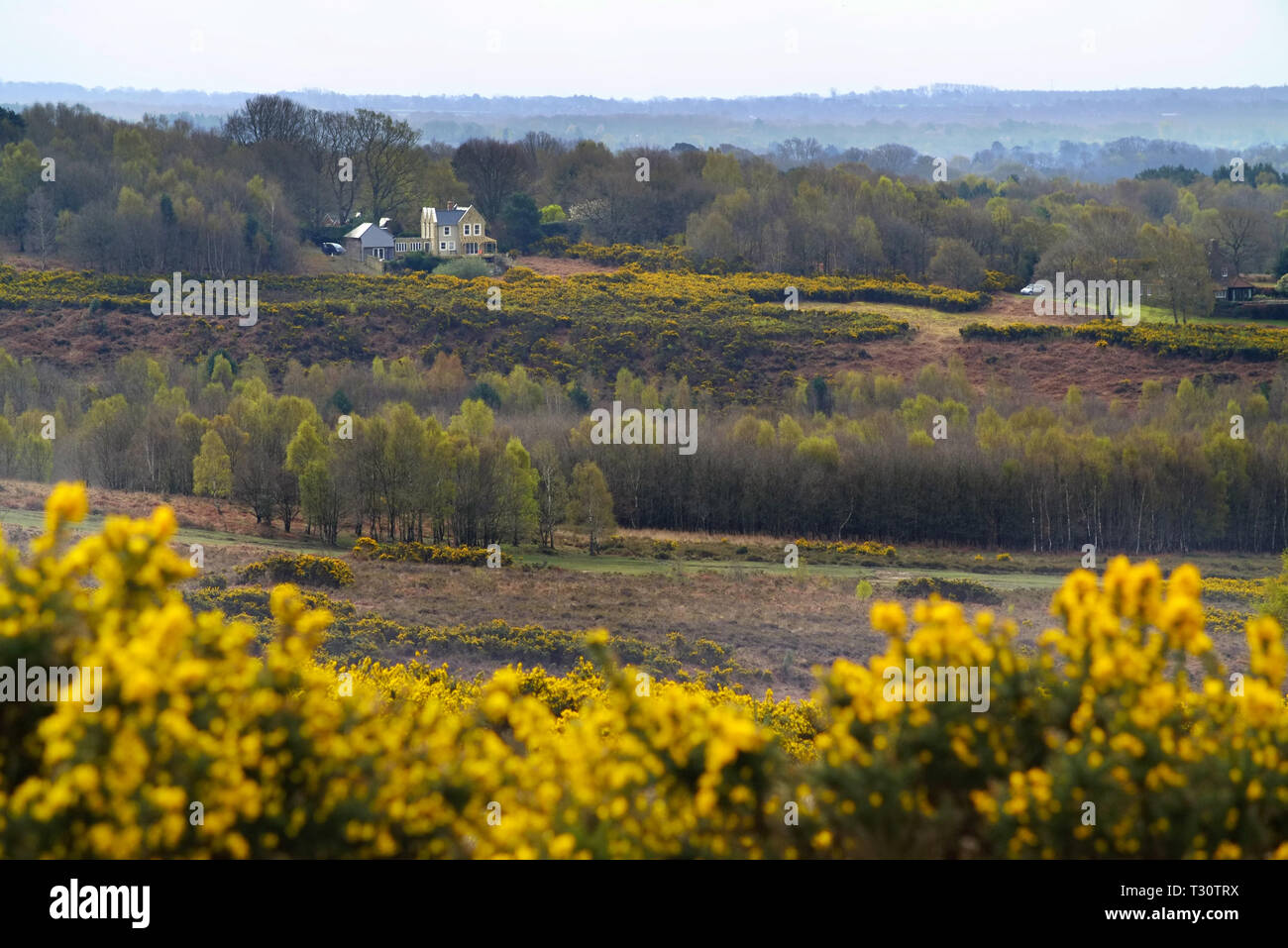 Hartfield sussex hi-res stock photography and images - Alamy
