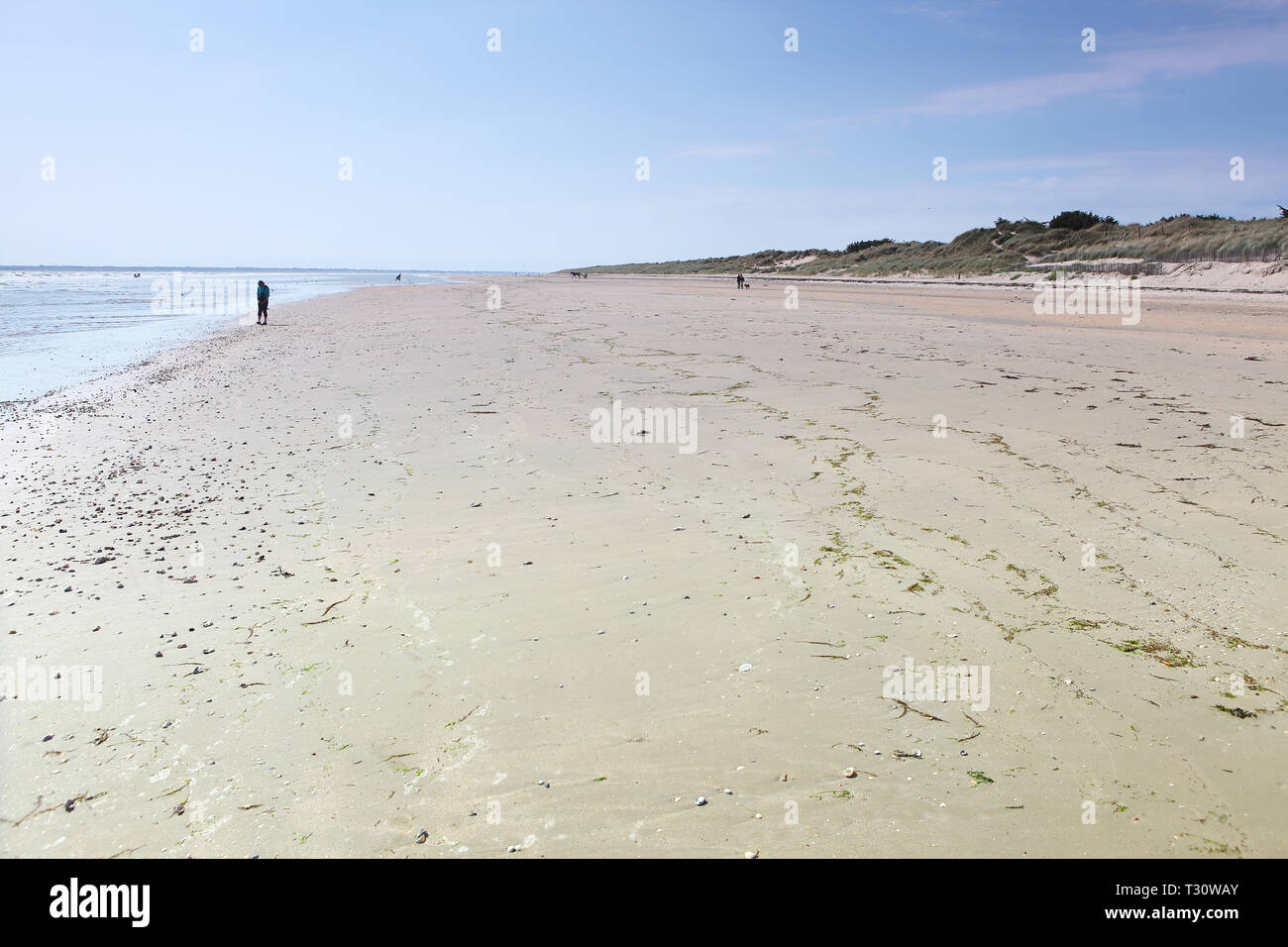 Utah beach la madeleine normandy hi-res stock photography and images ...
